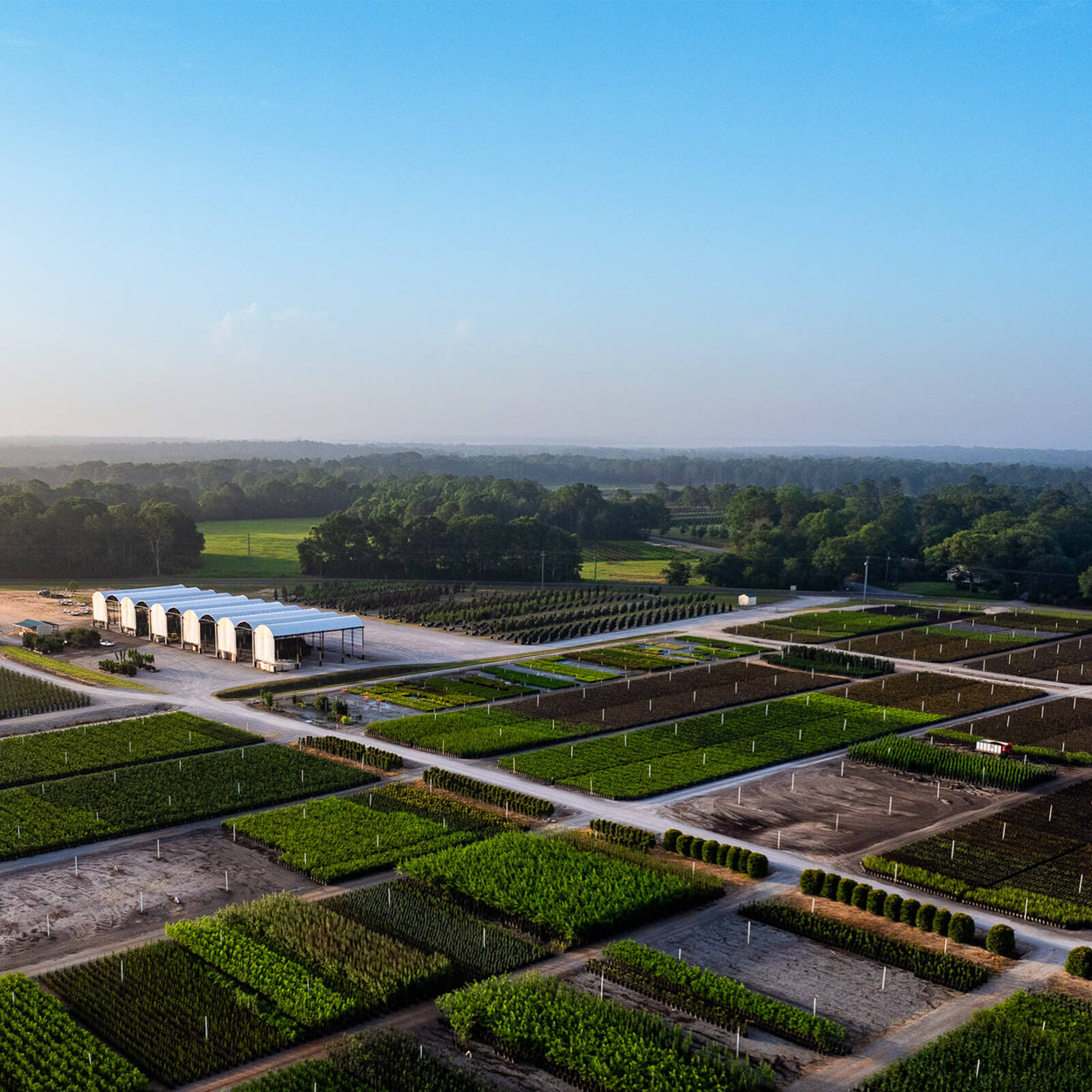 Gallery – GreenForest Nursery